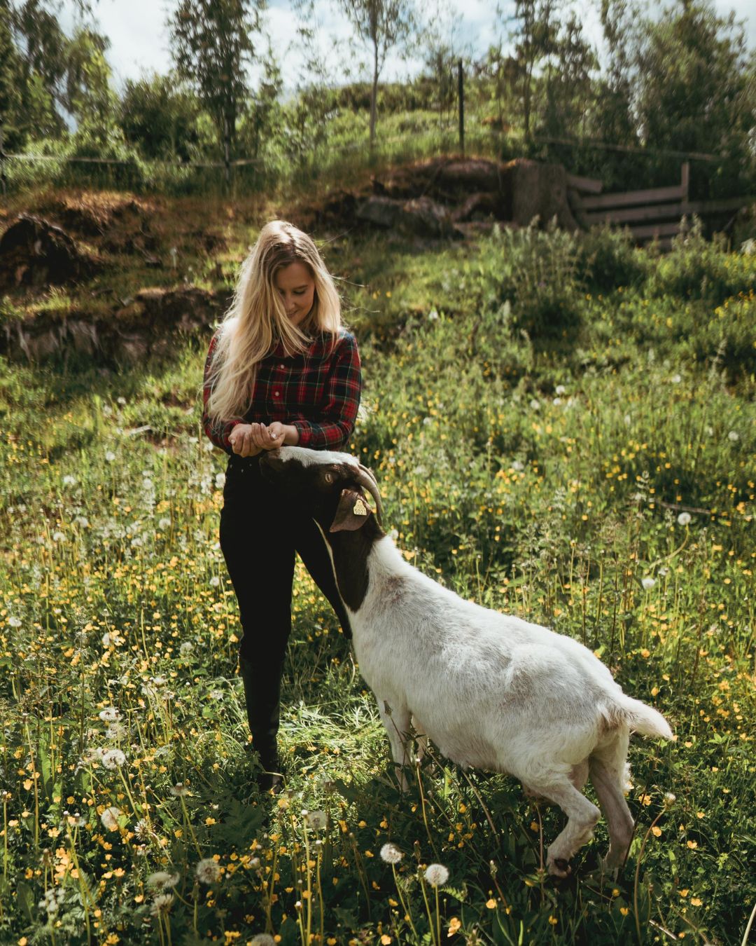 Aktiviteter – Snerting Ranch